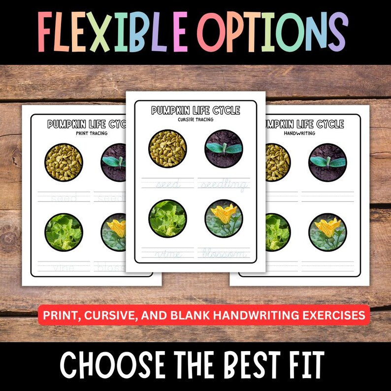 Pumpkin Unit Study, Pumpkin Life Cycle, Pumpkin Worksheet, Harvest ...