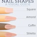 Guide on Measurments/length/shape for Your Nails: Free Guide, DO NOT ...