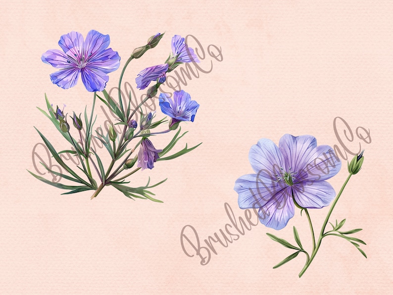 Purple Flower Watercolor Clipart Set, Wildflower Clipart Set, Purple ...