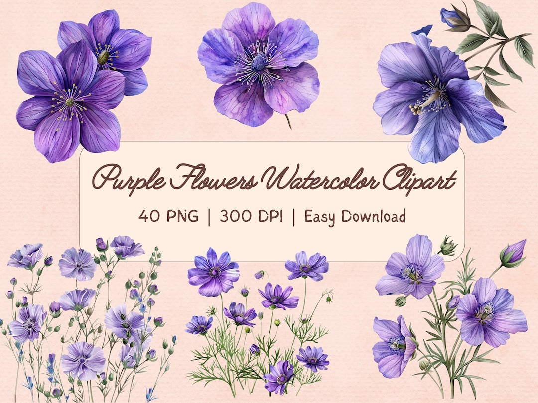 Purple Flower Watercolor Clipart Set, Wildflower Clipart Set, Purple ...