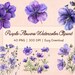 Purple Flower Watercolor Clipart Set, Wildflower Clipart Set, Purple ...