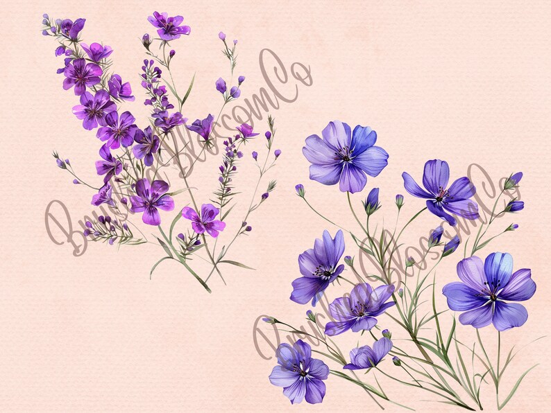 Purple Flower Watercolor Clipart Set, Wildflower Clipart Set, Purple ...