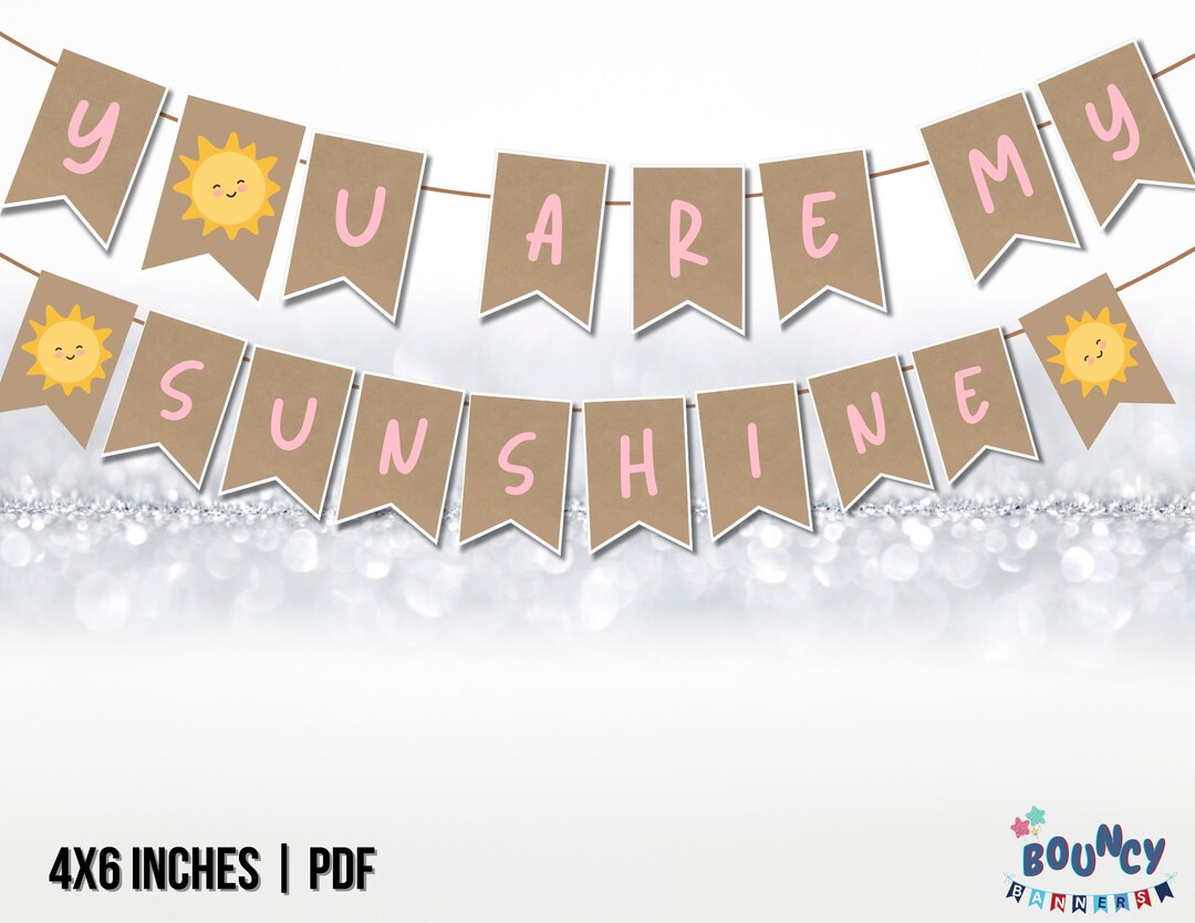 Sunshine Theme Birthday Banner - First Birthday Decor, Kids Party ...