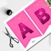 Hot Pink Glitter With Gold Stars Confetti Alphabet and Numbers Party ...