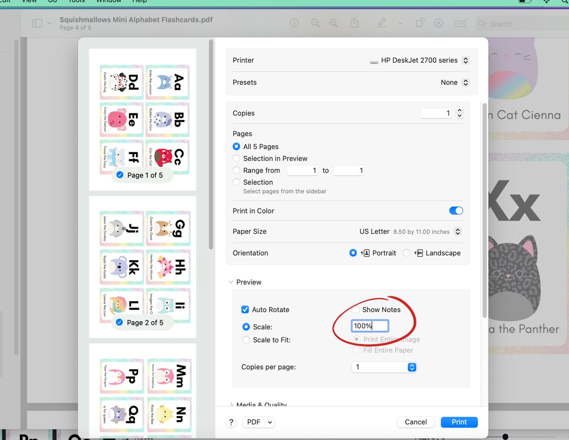 Squishmallow ABC Fun Mini Flashcards for Kids: Alphabet - Etsy
