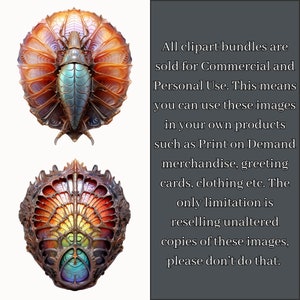 Trilobite Fossil Clipart Bundle, PNG Format, Great for Artistic ...