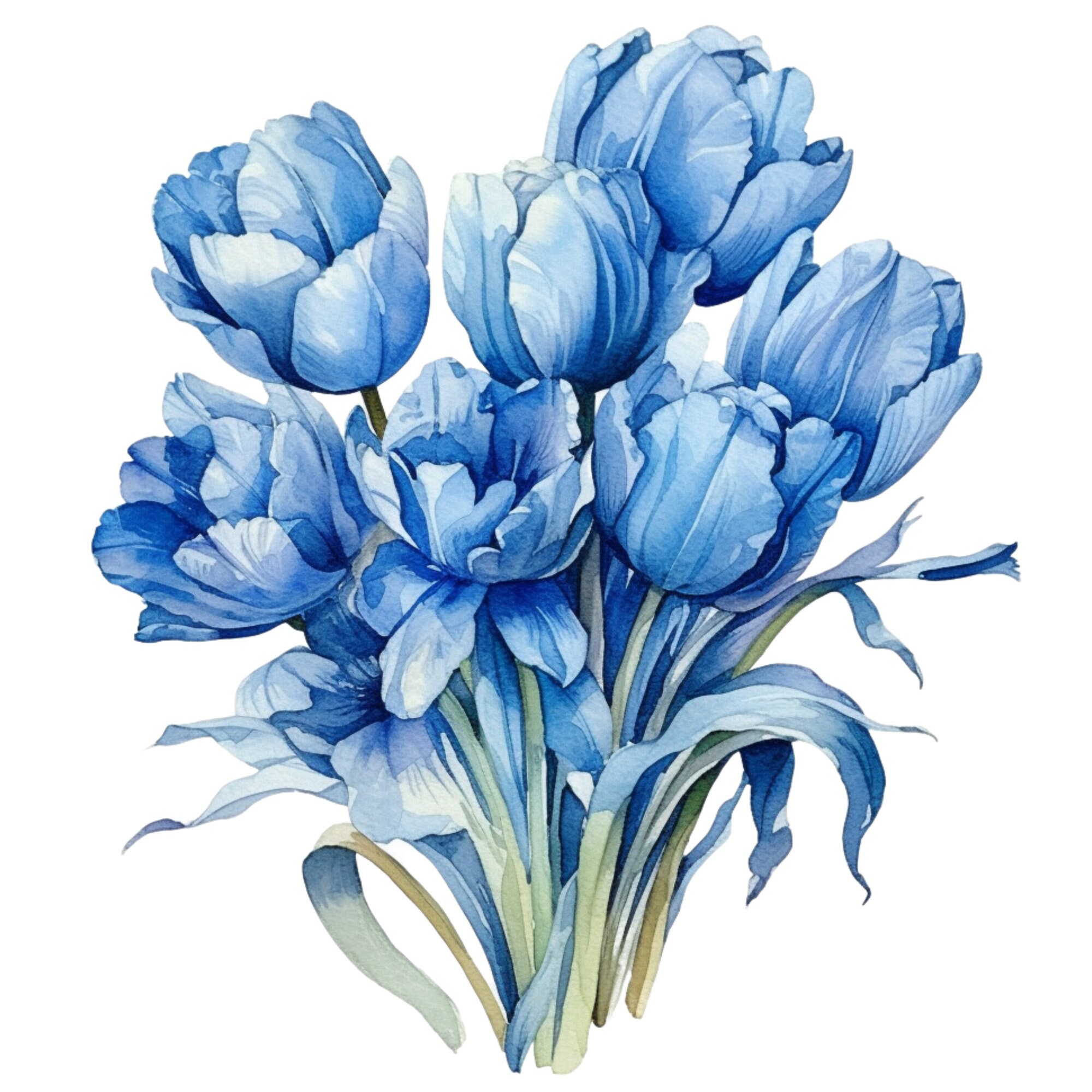 Blue Tulip Clipart Bundle High-resolution PNG Files Instant - Etsy
