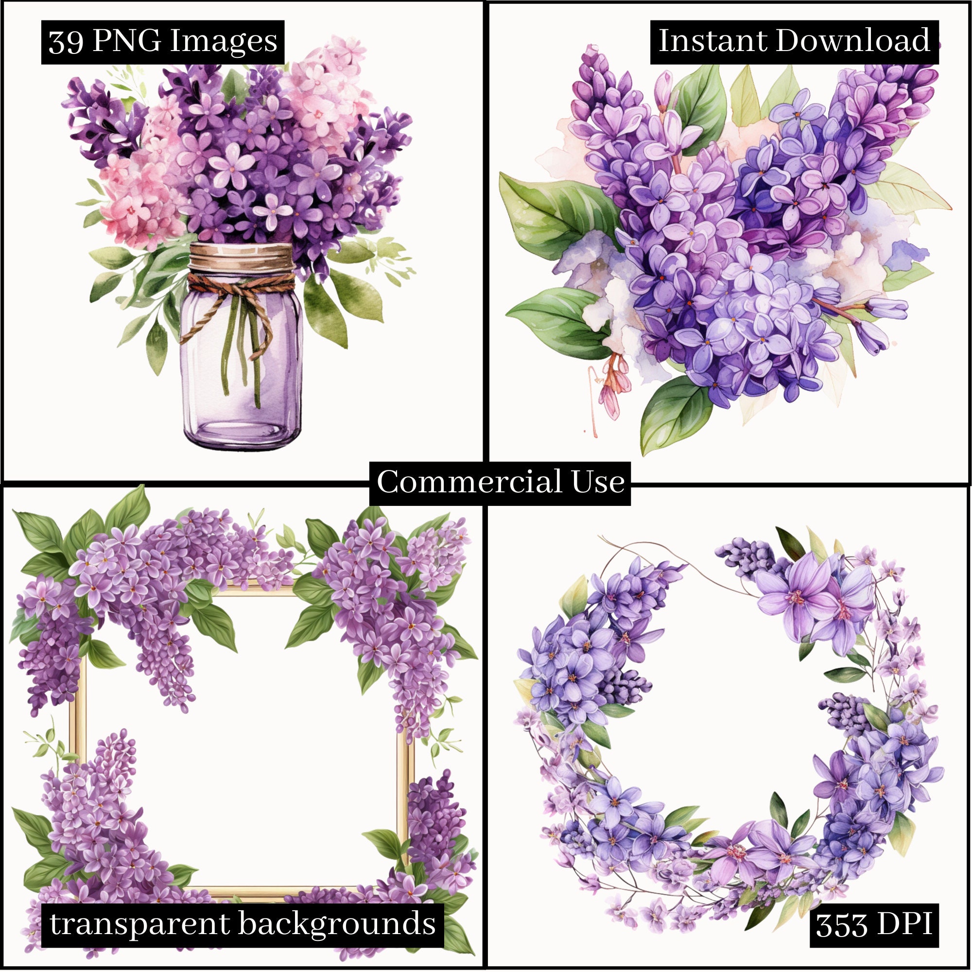 Lilac Clipart in Lovely Lilacs Watercolor Collection Lilac - Etsy