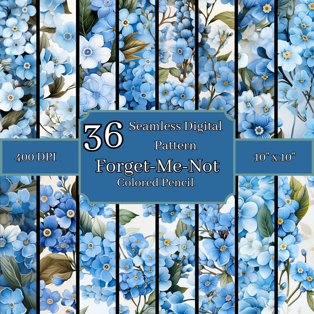 Colored Pencil Forget-me-not Seamless Patterns Bundle, High-resolution ...