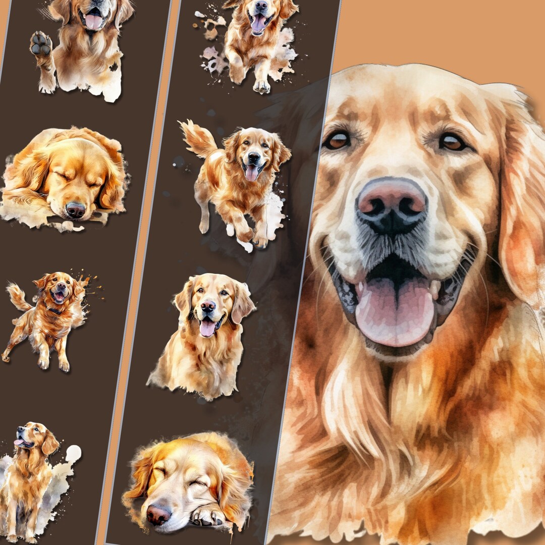 Golden Retriever Clipart Bundle High-resolution PNG Files Instant ...
