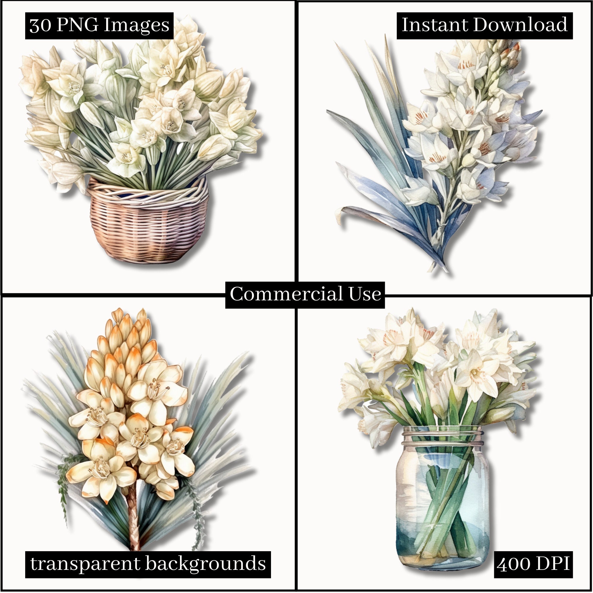 Yucca Flower Clipart Bundle High-quality PNG Files, Instant Download ...