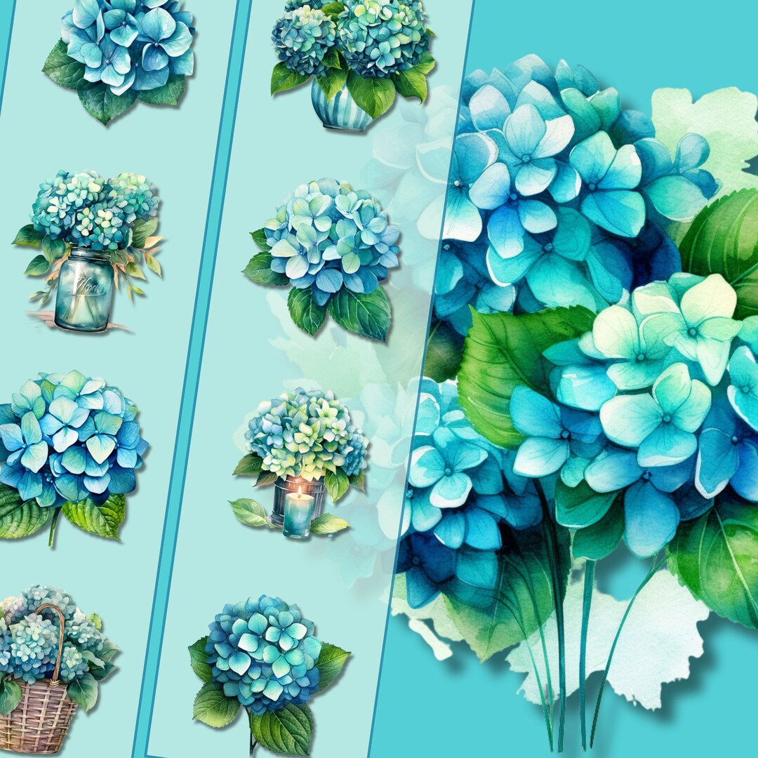 Teal Hydrangea Clipart Bundle - High-quality PNG Files, Instant ...