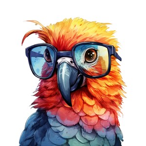 Parrot Wearing Glasses, PNG Format, for Artistic Creations, Junk ...