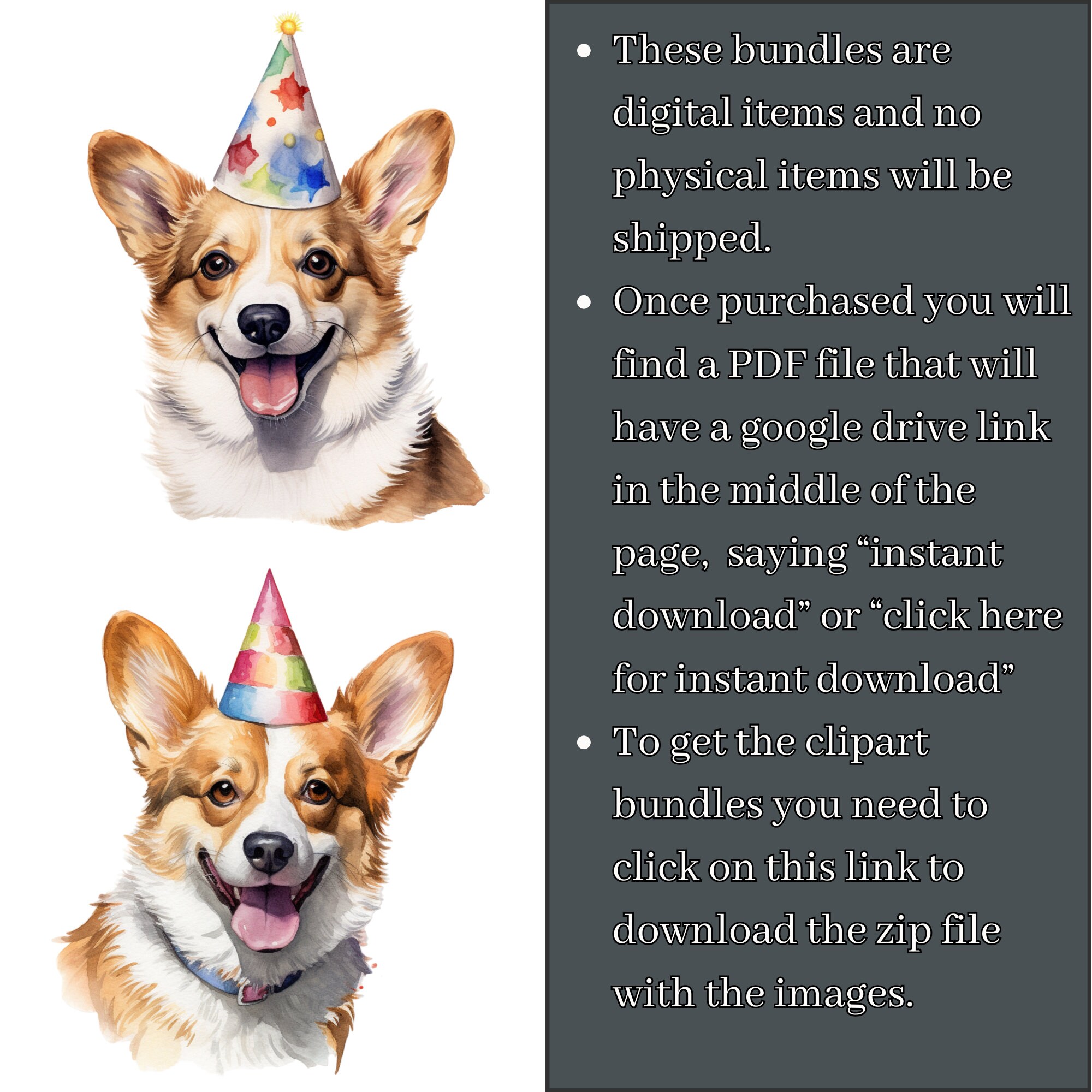 Birthday Corgi Clipart Bundle PNG Format Artistic Creations - Etsy