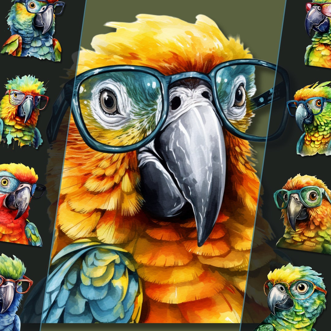Parrot Wearing Glasses, PNG Format, for Artistic Creations, Junk ...