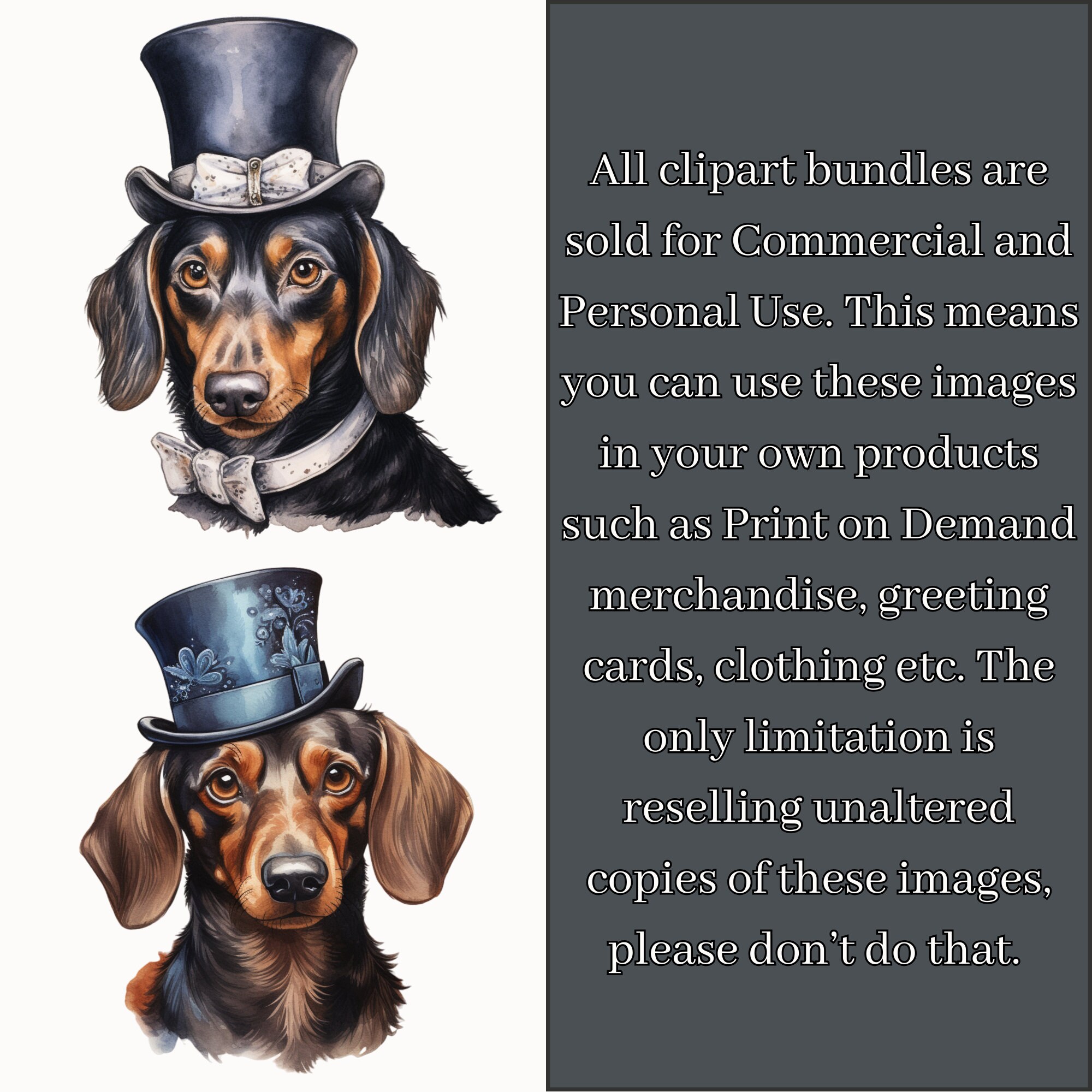 Dapper Dachshund Clipart Bundle PNG Format Artistic - Etsy