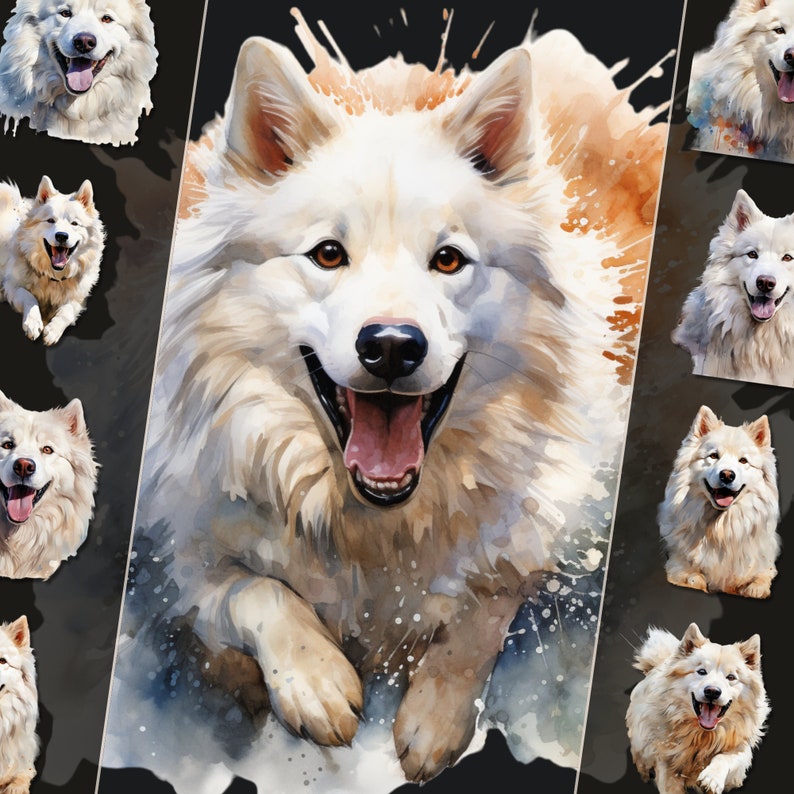 Samoyed Clipart Bundle Adorable Arctic Dog Illustrations - Etsy