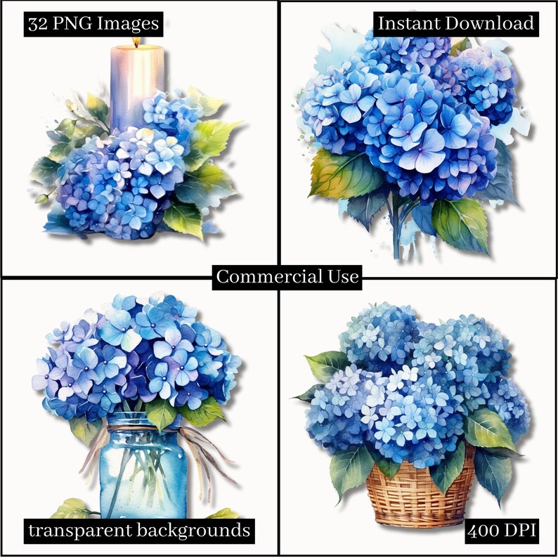 Blue Hydrangea Clipart Bundle High-resolution PNG Files - Etsy