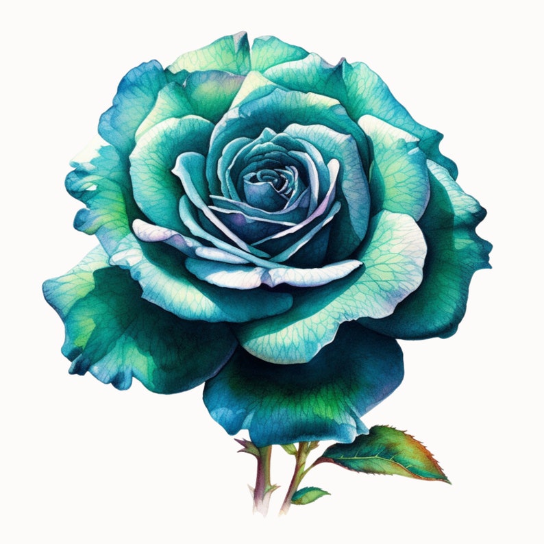 Teal Rose Clipart Bundle PNG Files Transparent Backgrounds - Etsy