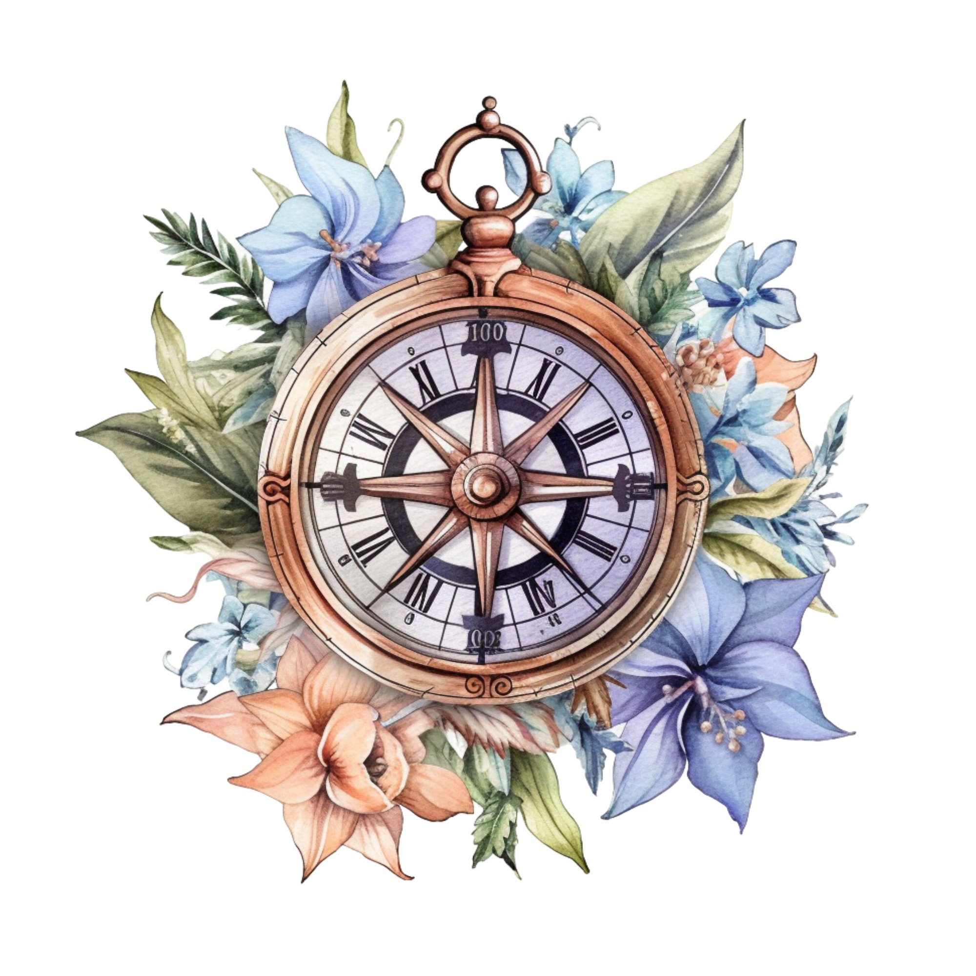 Floral Compass Clipart Bundle High-resolution PNG Files - Etsy