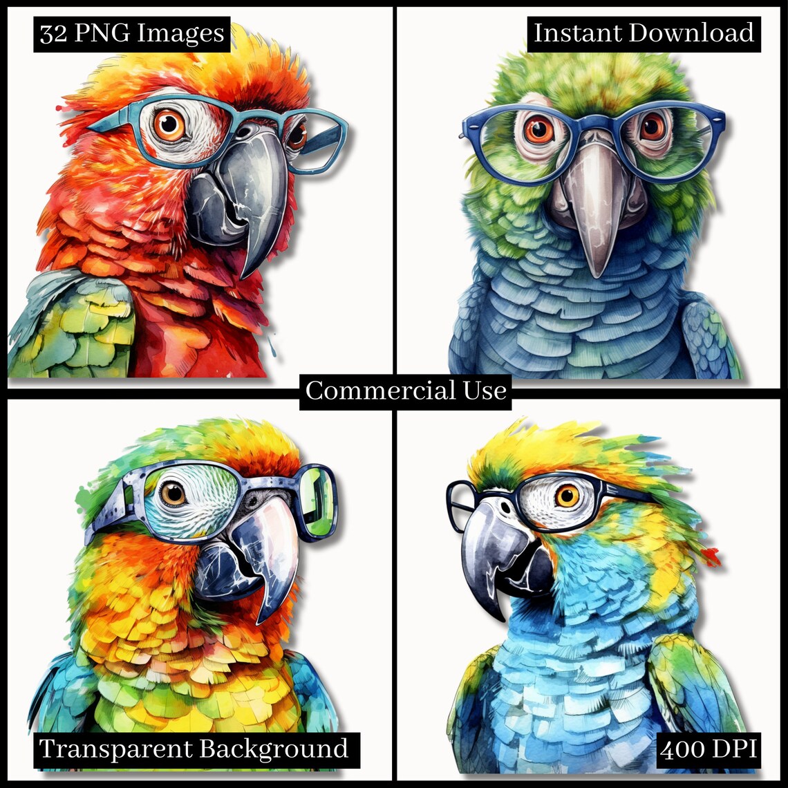 Parrot Wearing Glasses PNG Format for Artistic Creations - Etsy