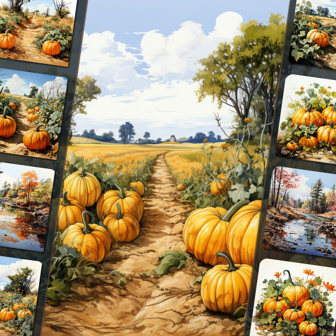 Pumpkin Patch Clipart Bundle - Charming Pumpkin Illustrations, PNG ...