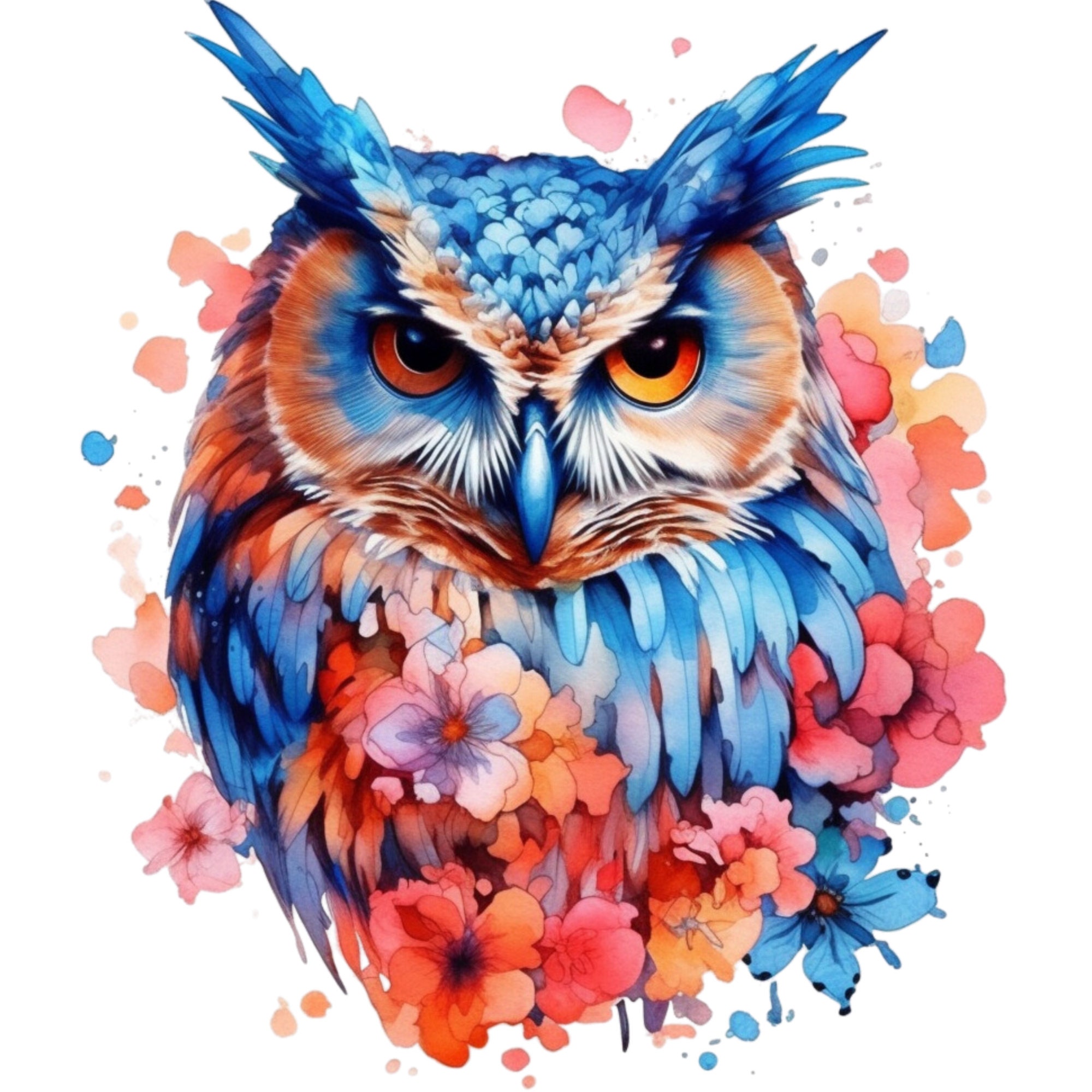 Floral Owl Clipart PNG Files Floral Owl Clipart Instant - Etsy