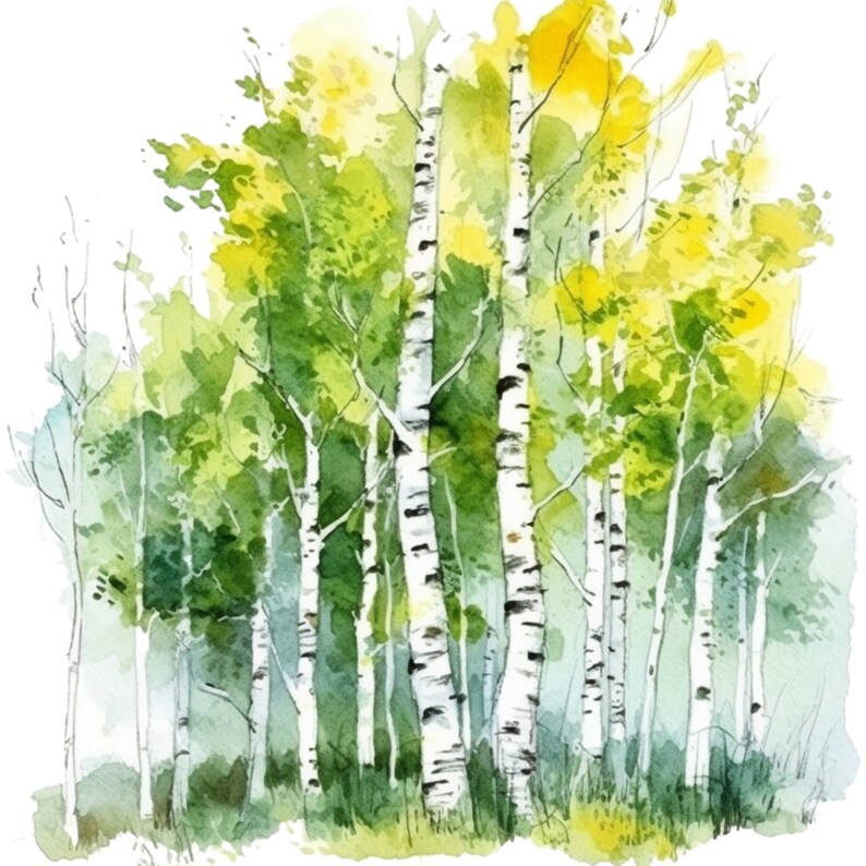 Spring Birch Tree Clipart Collection PNG Graphics, Perfect for DIY ...