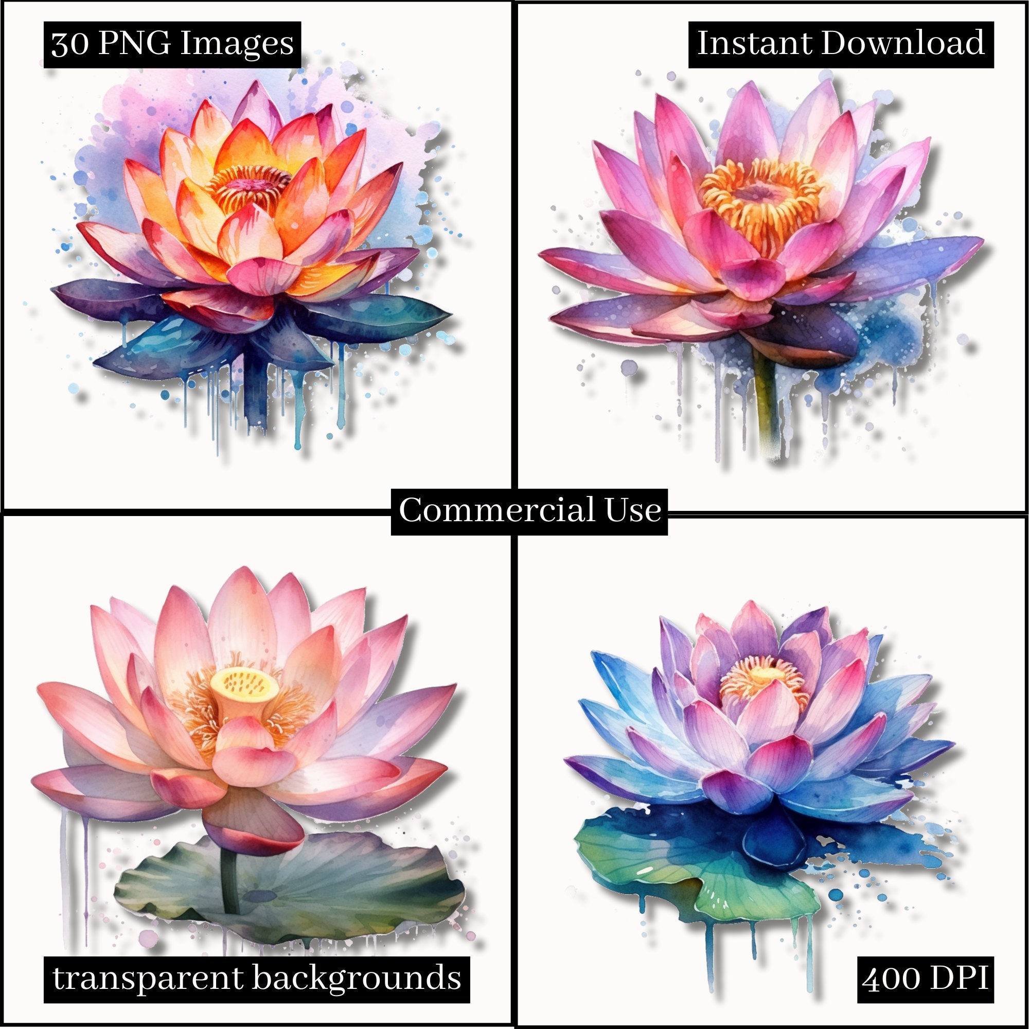 Lotus Flower Clipart Bundle Tranquil Water Lily Illustrations, PNG ...