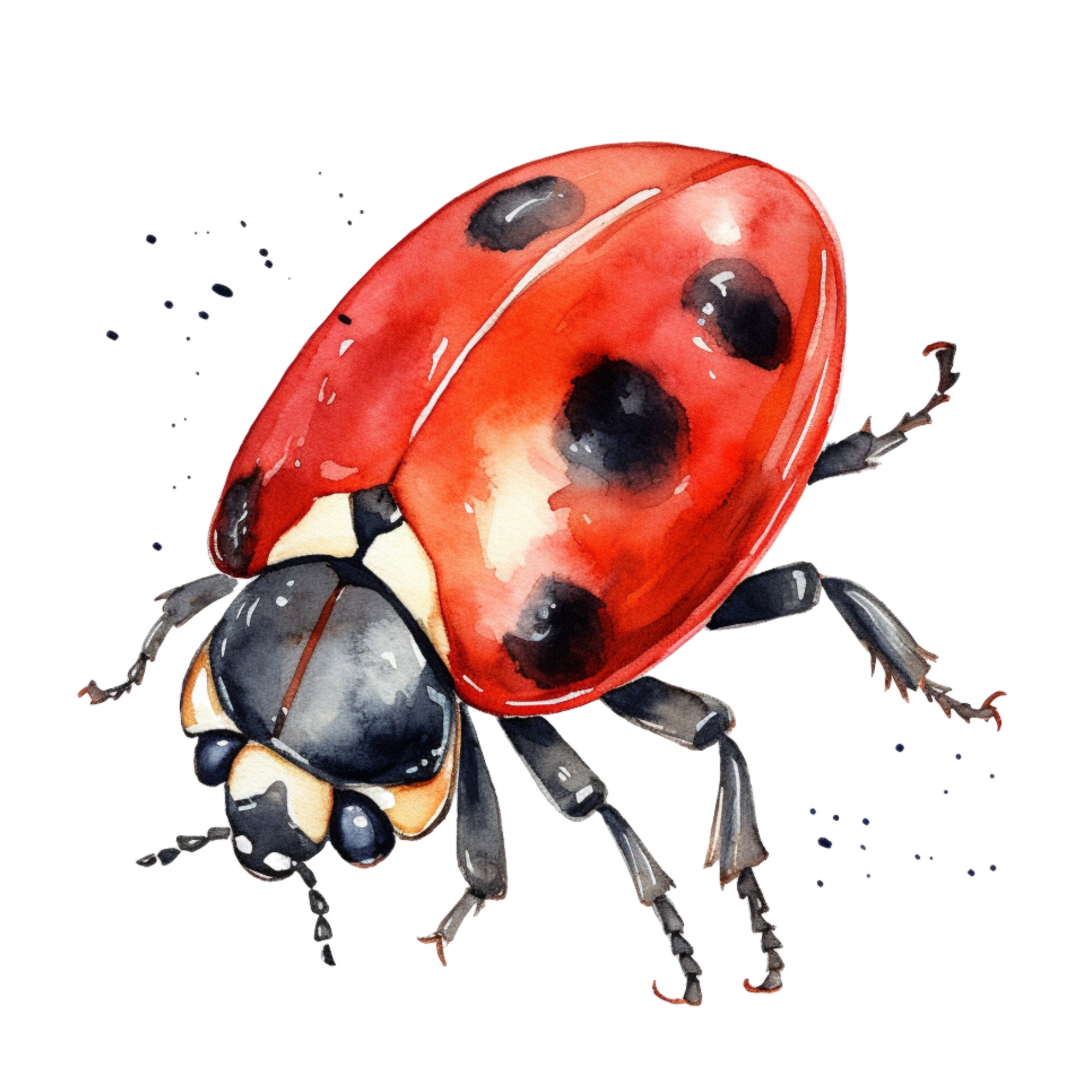 Ladybug Clipart in Lovely Ladybugs Watercolor Collection Charming ...