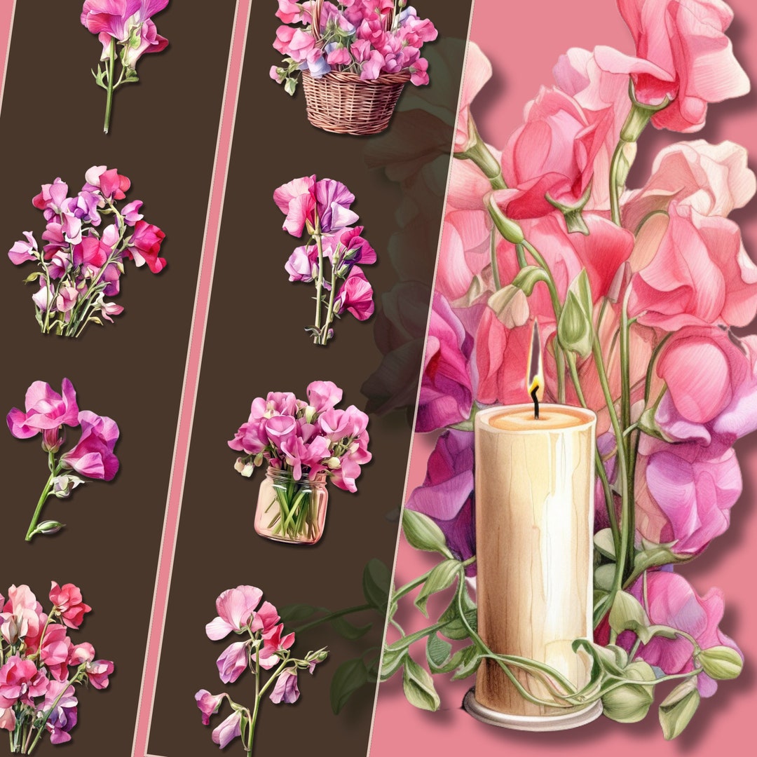 Pink Sweet Pea Clipart Bundle - High-resolution PNG Files, Instant ...