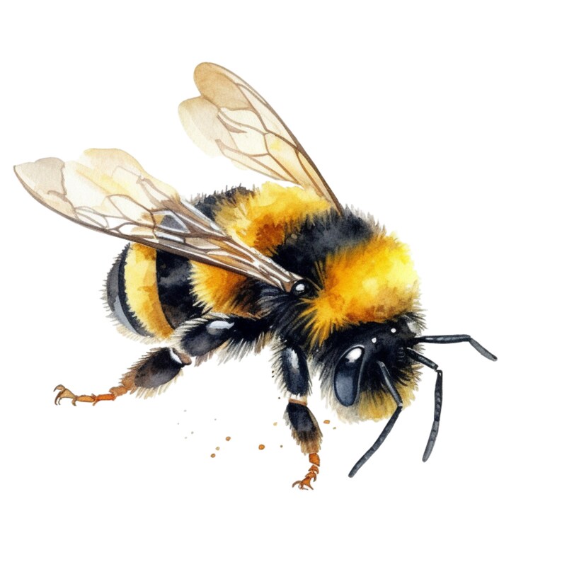 Bumblebee Clipart Busy Bees Watercolor Collection Adorable - Etsy