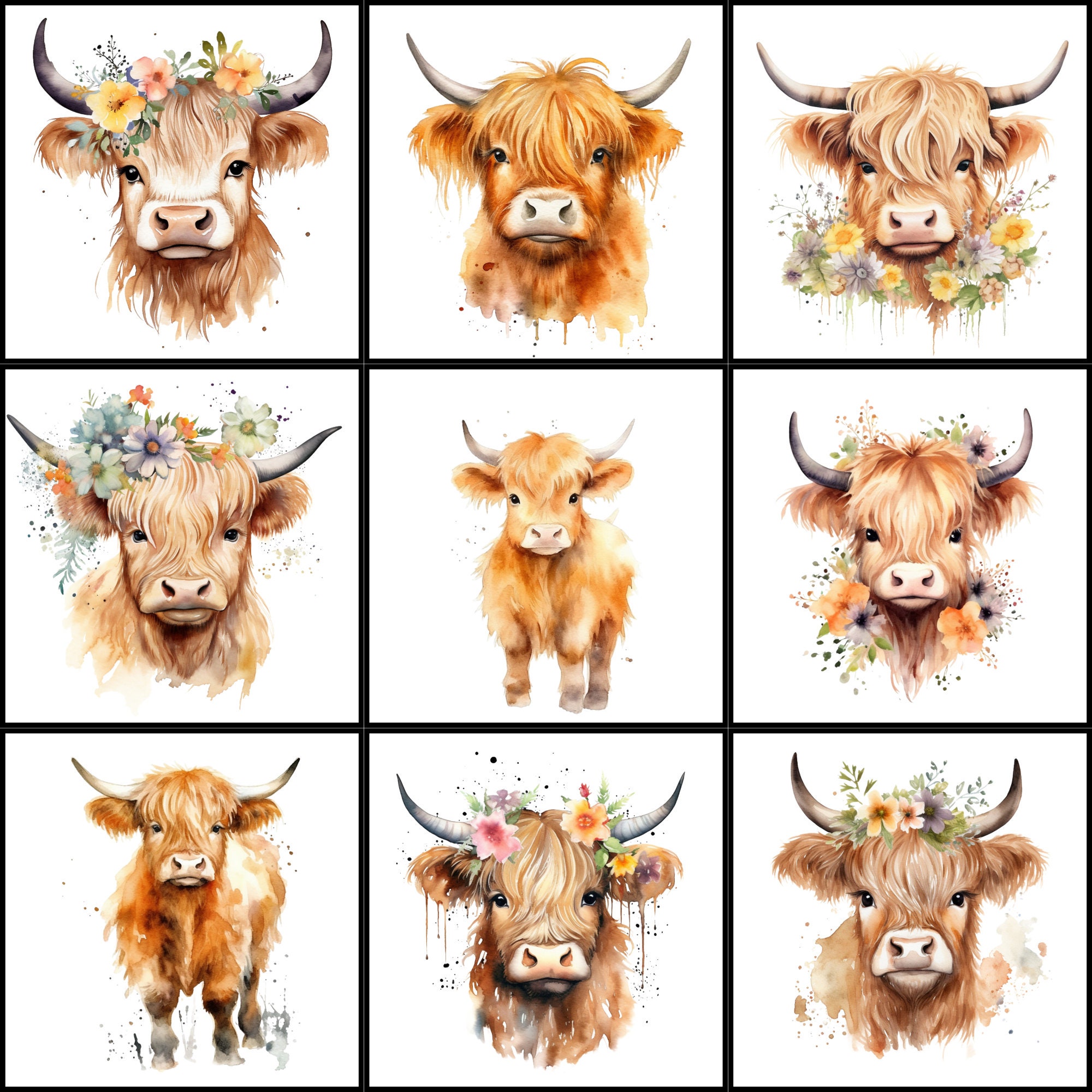 Highland Cows Clipart Highland Haven Watercolor Collection Majestic ...