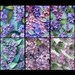 Lilac Papercraft Inspired Seamless Patterns Bundle, High-resolution 400 ...