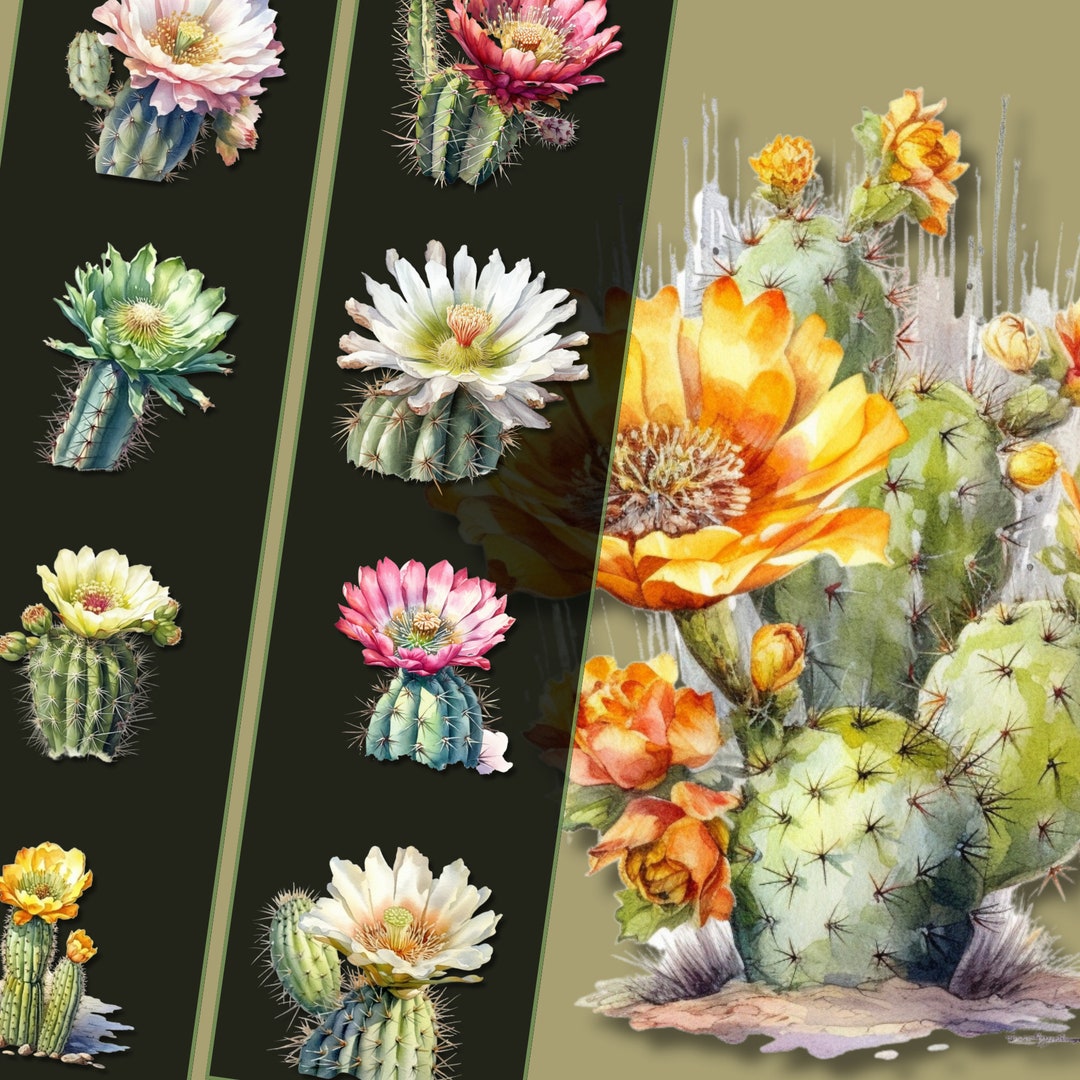 Saguaro Cactus Blossom Clipart Bundle PNG Files, Instant Download ...