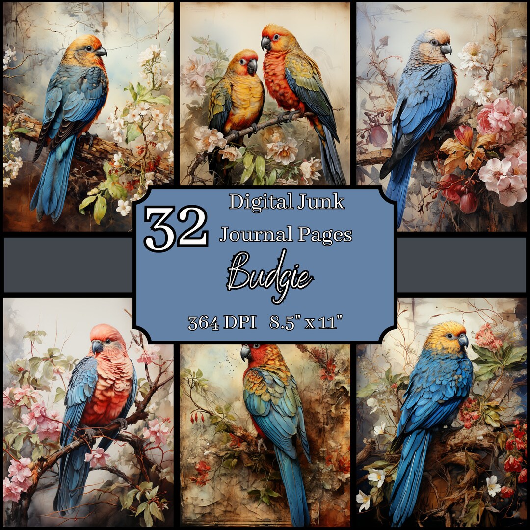 Budgie Junk Journal Pages Bundle, 8.5x11, 364 DPI, Commercial ...