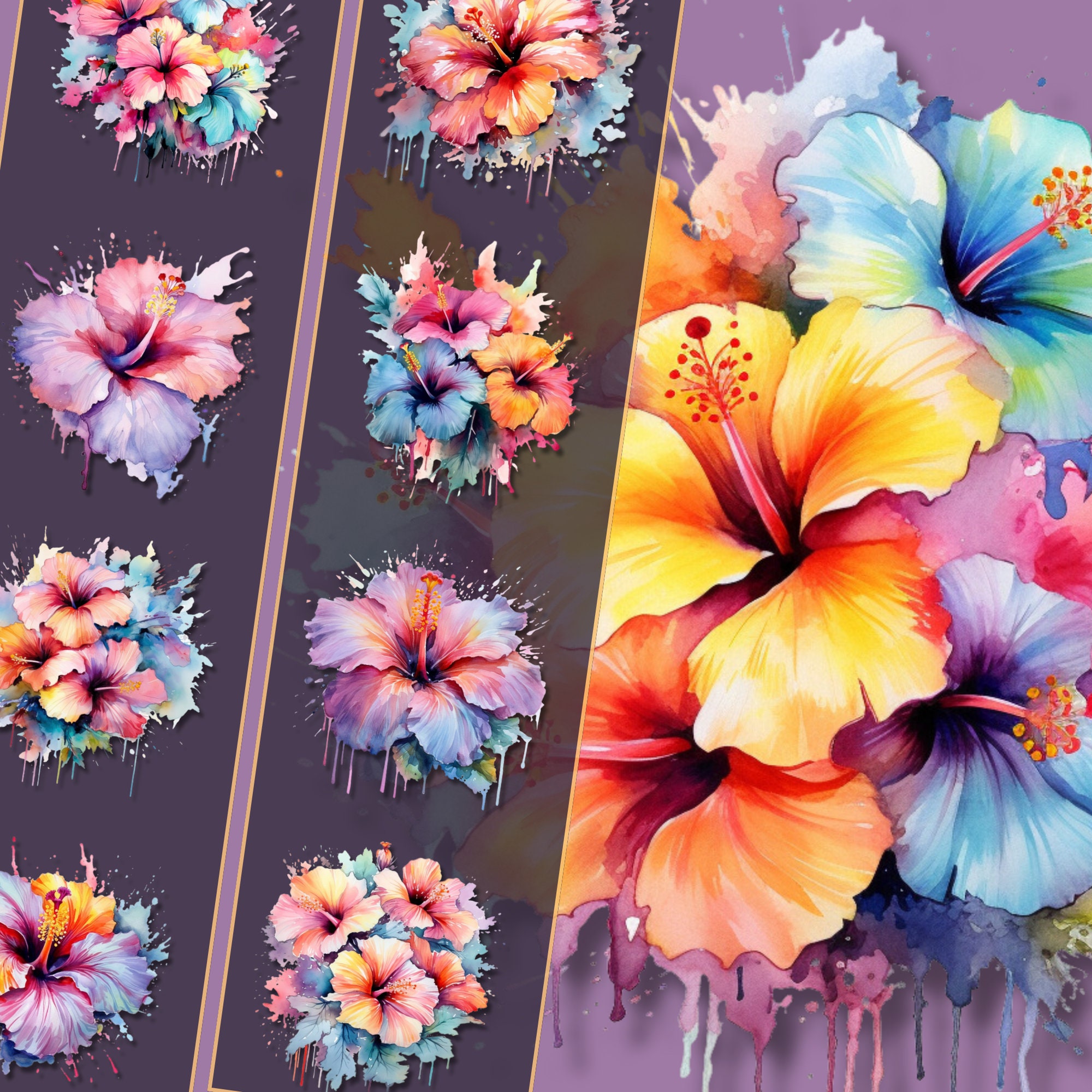 Hibiscus Clipart Bundle Tropical Flower Illustrations, High-resolution ...