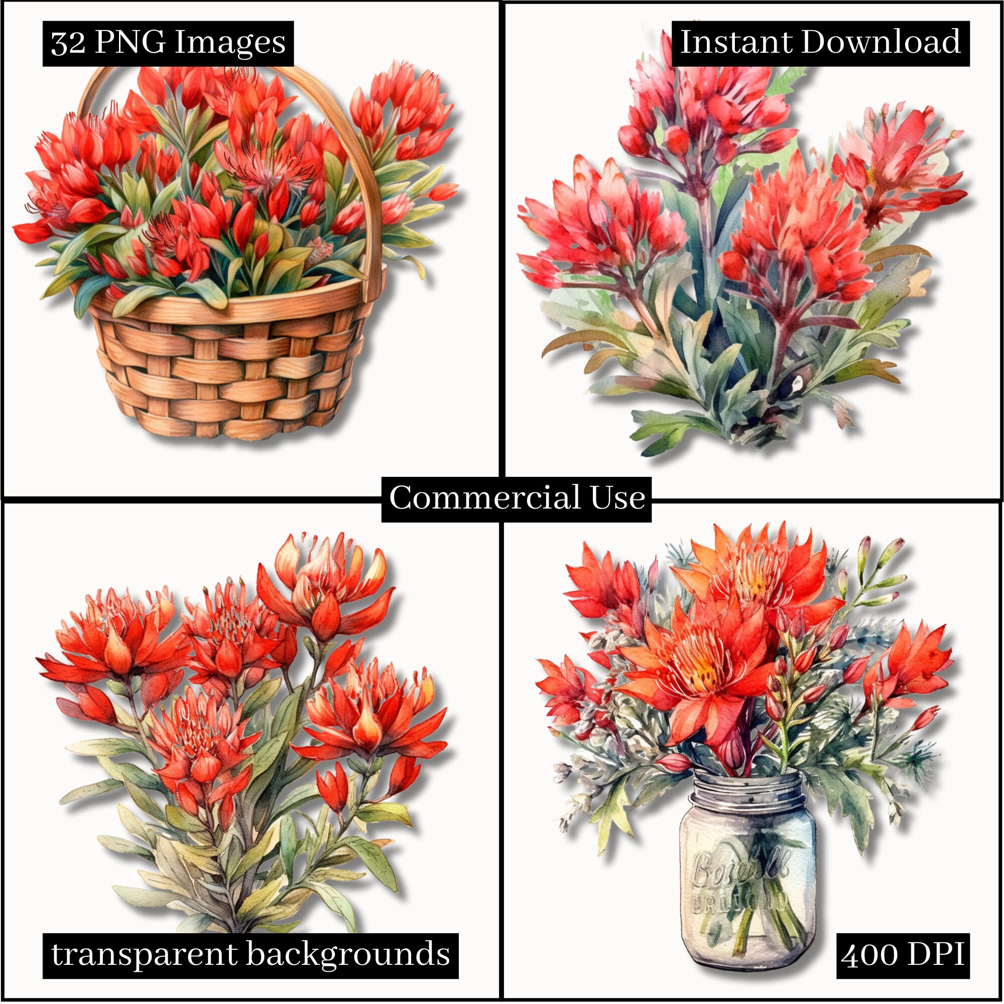 Indian Paintbrush Flower Clipart Bundle High-resolution PNG - Etsy