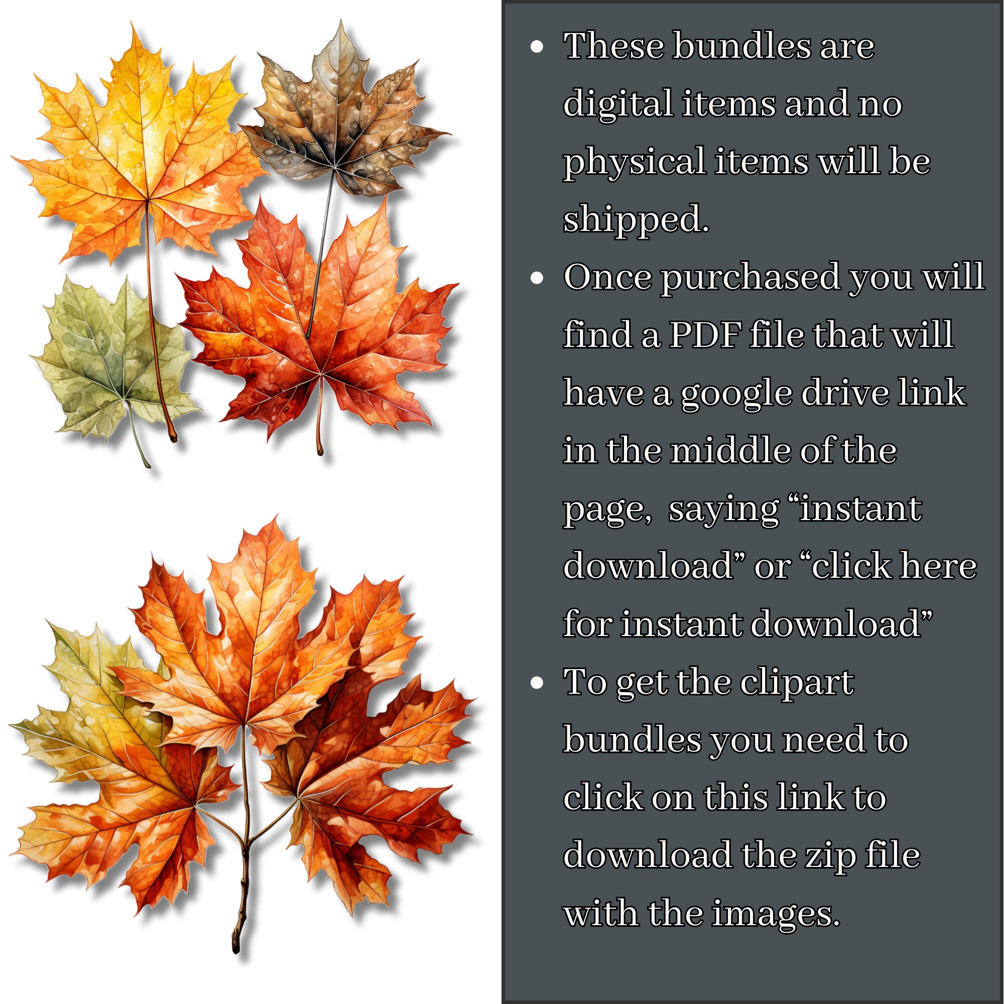 Autumn Leaves Clipart Bundle PNG Format for Personal & - Etsy