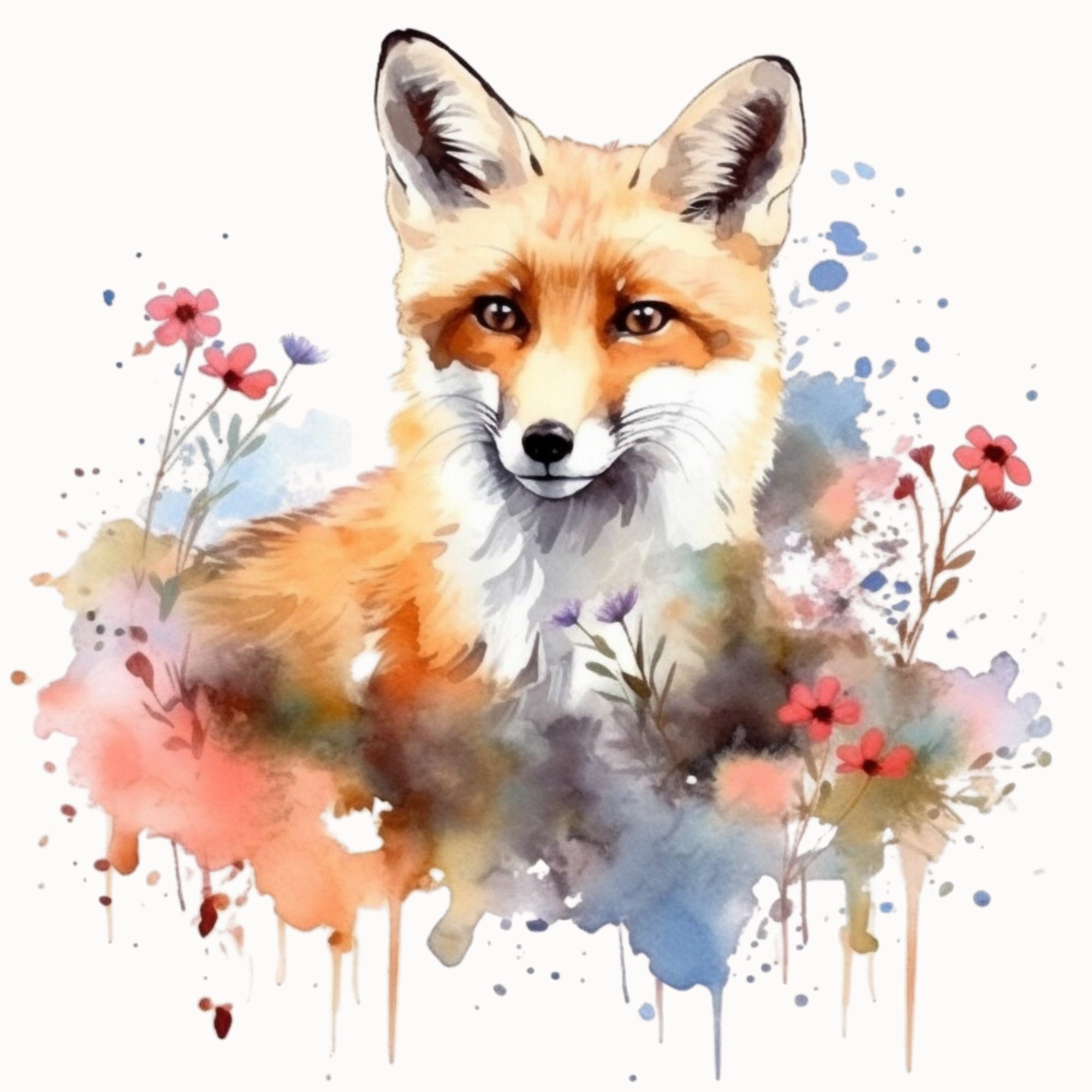 Fox Clipart Collection PNG Graphics Transparent Background - Etsy