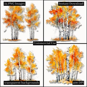 Fall Birch Tree Clipart Collection PNG Graphics, Perfect for DIY ...