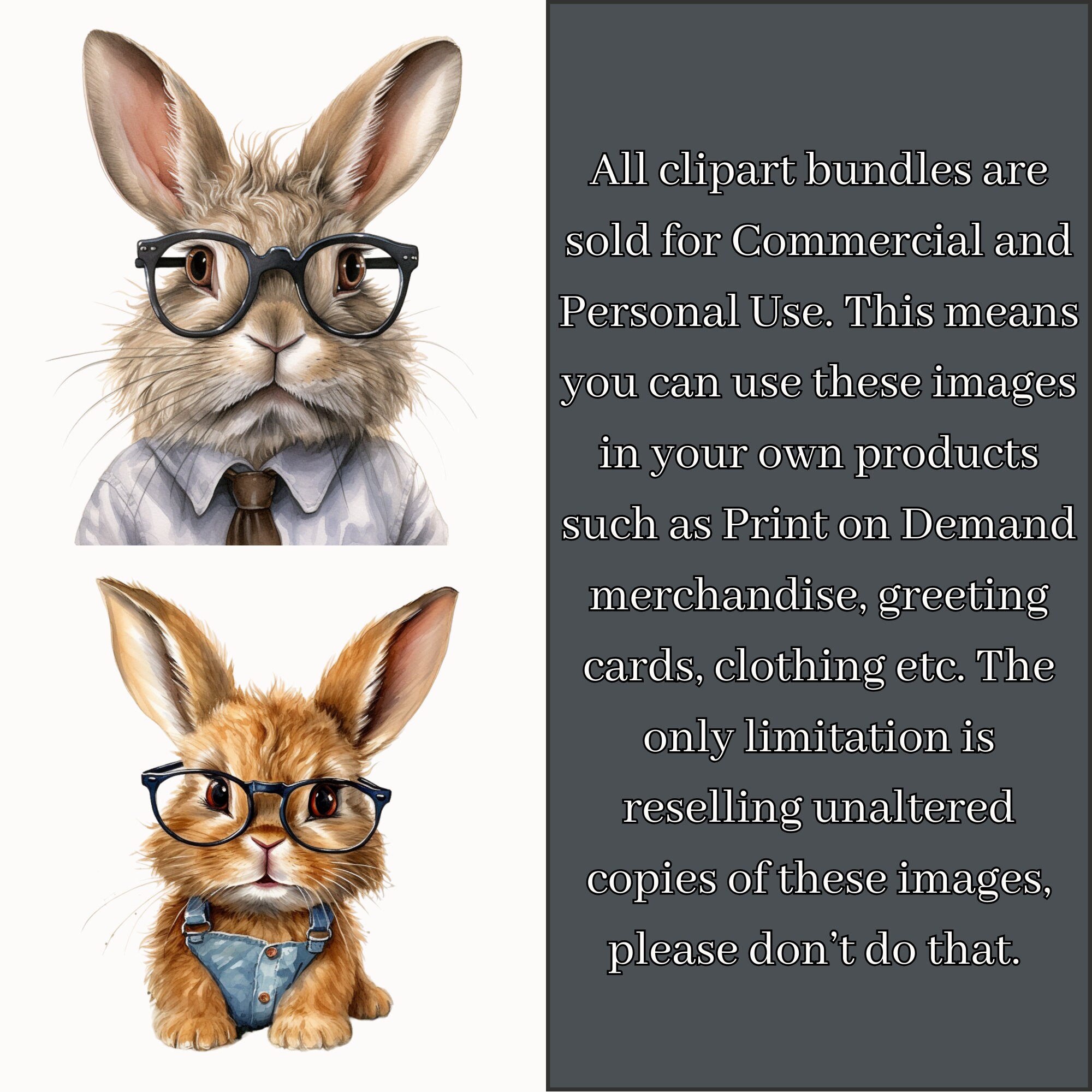 Scholarly Rabbit Clipart Bundle, PNG Format, Artistic Creations, Junk ...