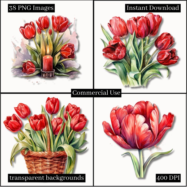 Red Tulip Clipart Bundle High-resolution PNG Files Instant - Etsy