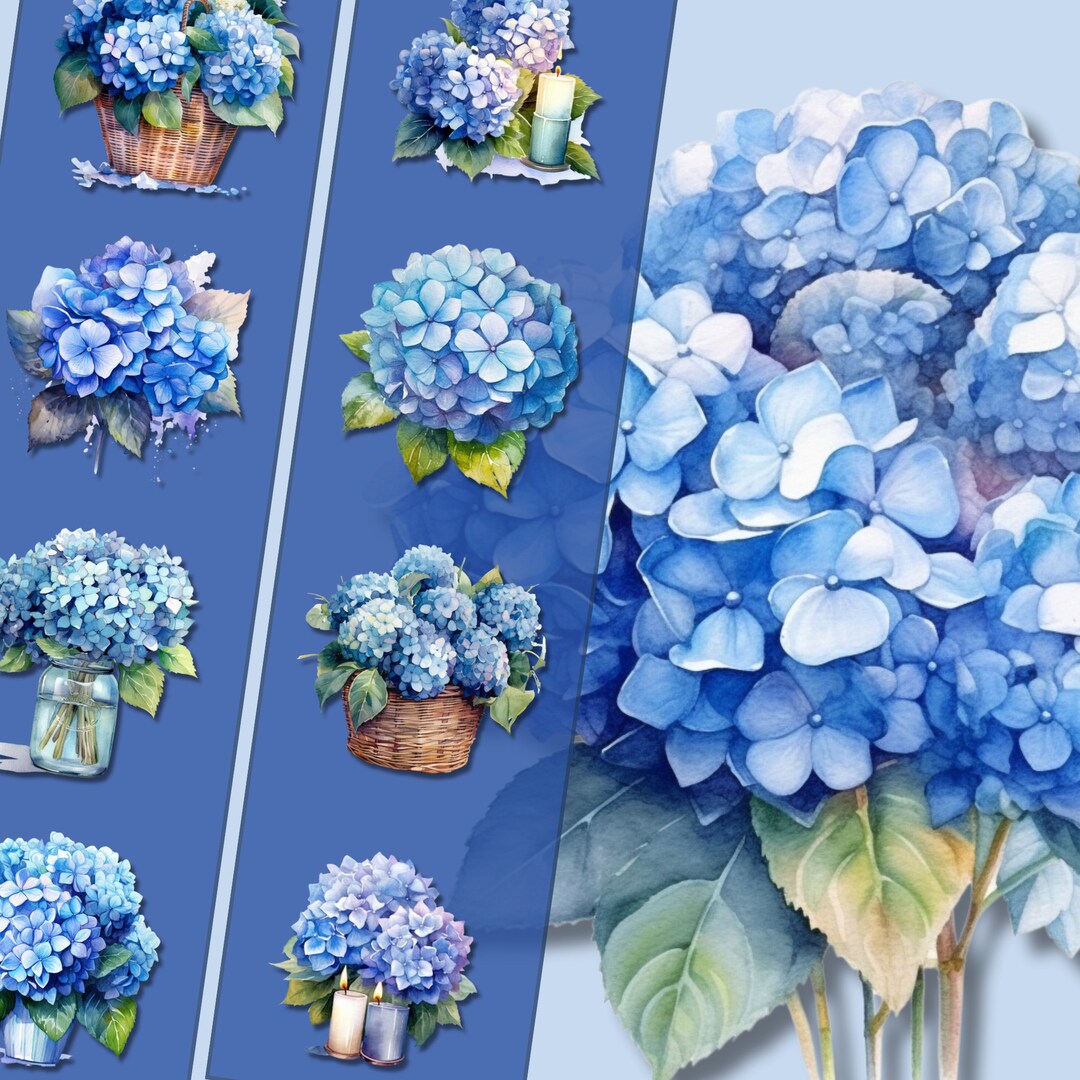 Blue Hydrangea Clipart Bundle - High-resolution PNG Files, Instant ...