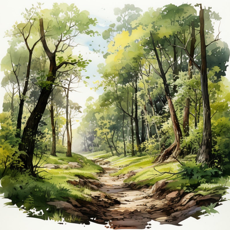 Springtime Forest Path Clipart Bundle Enchanting Nature - Etsy