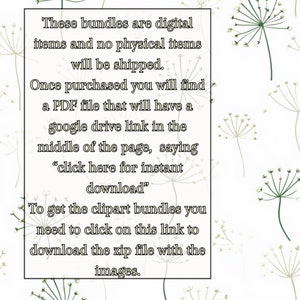 Queen Anne's Lace Minimalistic Seamless Patterns Bundle, High ...