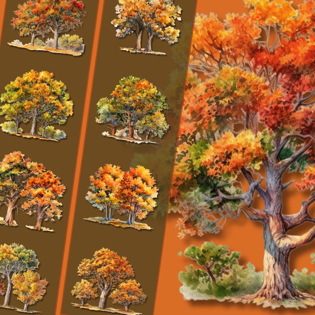 Fall Oak Tree Clipart Bundle - High-resolution PNG Files, Instant ...