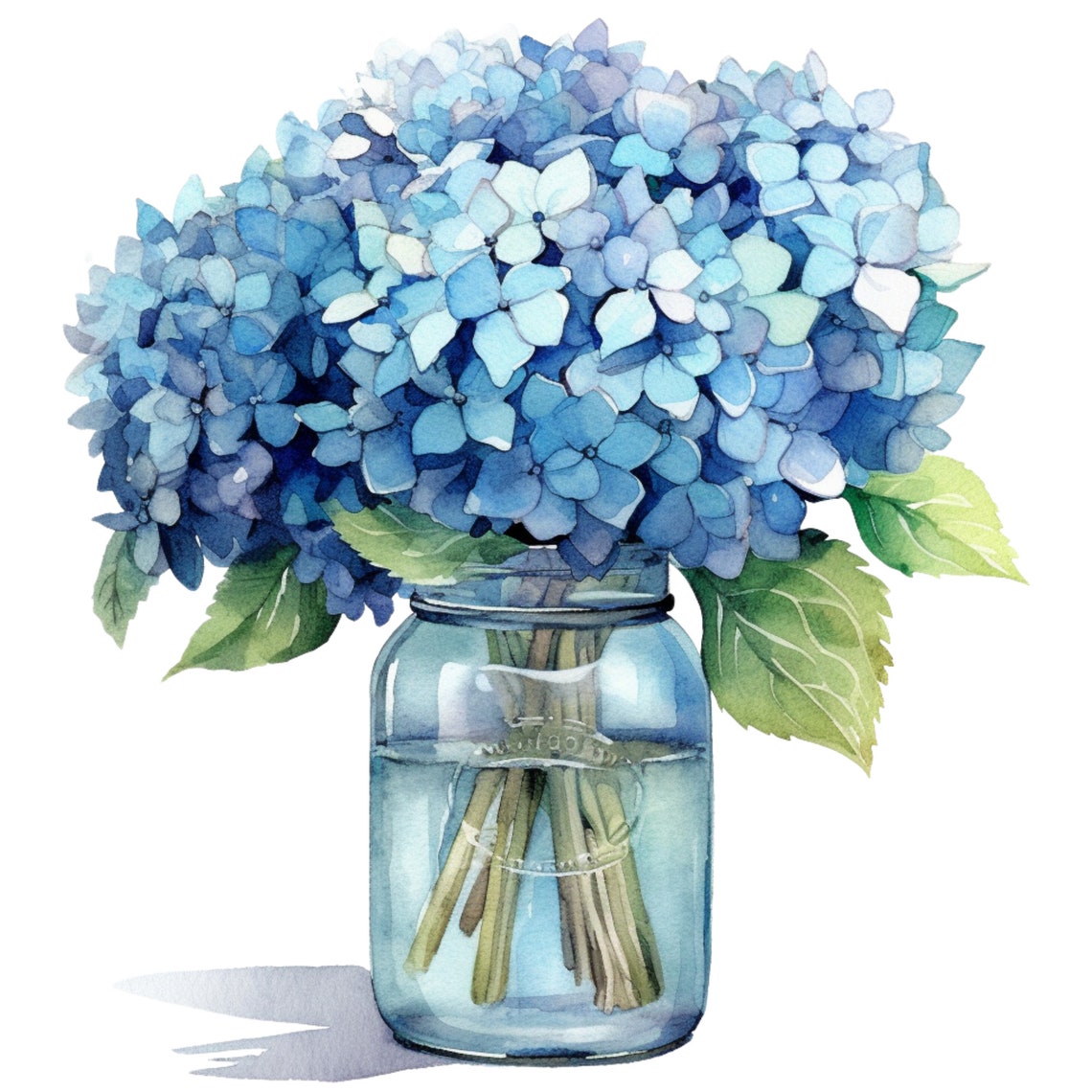 Blue Hydrangea Clipart Bundle High-resolution PNG Files - Etsy