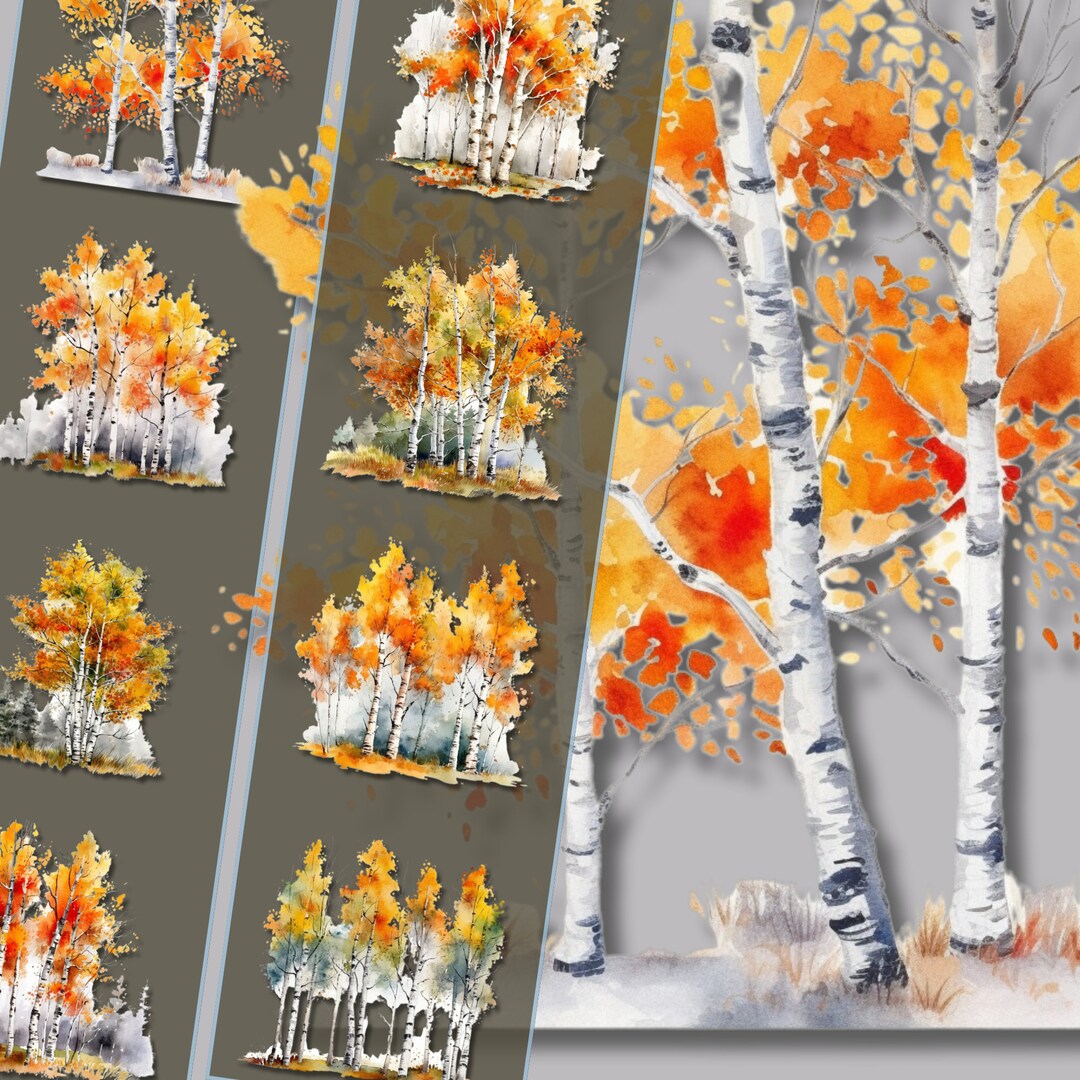 Fall Birch Tree Clipart Collection PNG Graphics, Perfect for DIY ...