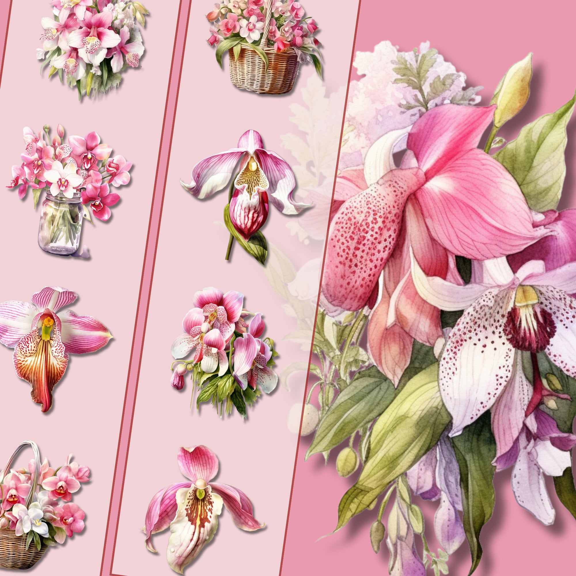 Pink and White Lady's Slippers Clipart Bundle PNG Files - Etsy